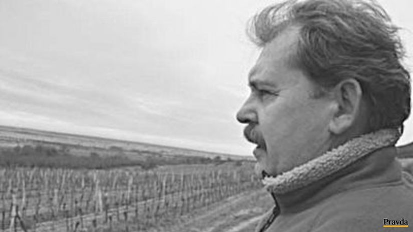 Muž, ktorého esom sú obnovené vinice - Ľudia - Ekonomika - Pravda