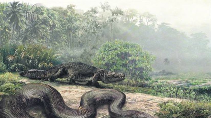 Gigantický had jedol krokodíly - Zem - Veda a technika - Pravda