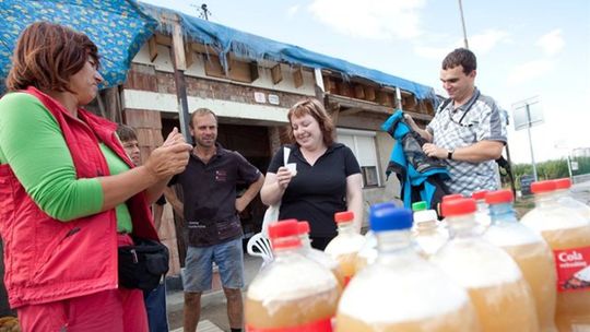 Burčiak je mok občas s duchom motolice - Domáce - Správy - Pravda
