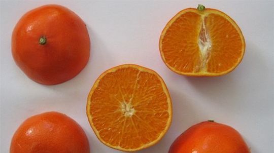 Na svete je nová mandarínka - DaisySL - Zem - Veda a technika - Pravda