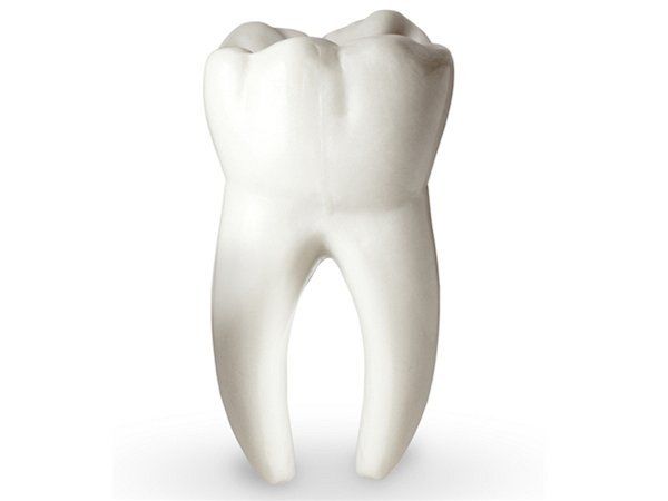 Rady pred i po trhaní zubov - Zdravie a prevencia - Zdravie - Pravda.sk