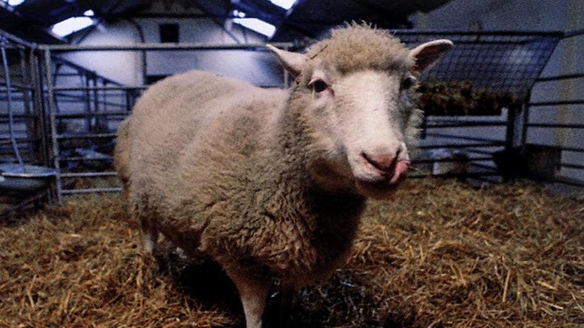 Ako sa klonuje? - Vzdelávanie - Užitočná pravda - Pravda