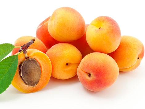 Marhuľa :: Najlepšie ovocie :-)