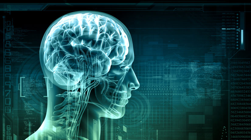 Mozog: Väčší neznamená automaticky múdrejší - Človek - Veda a technika ...