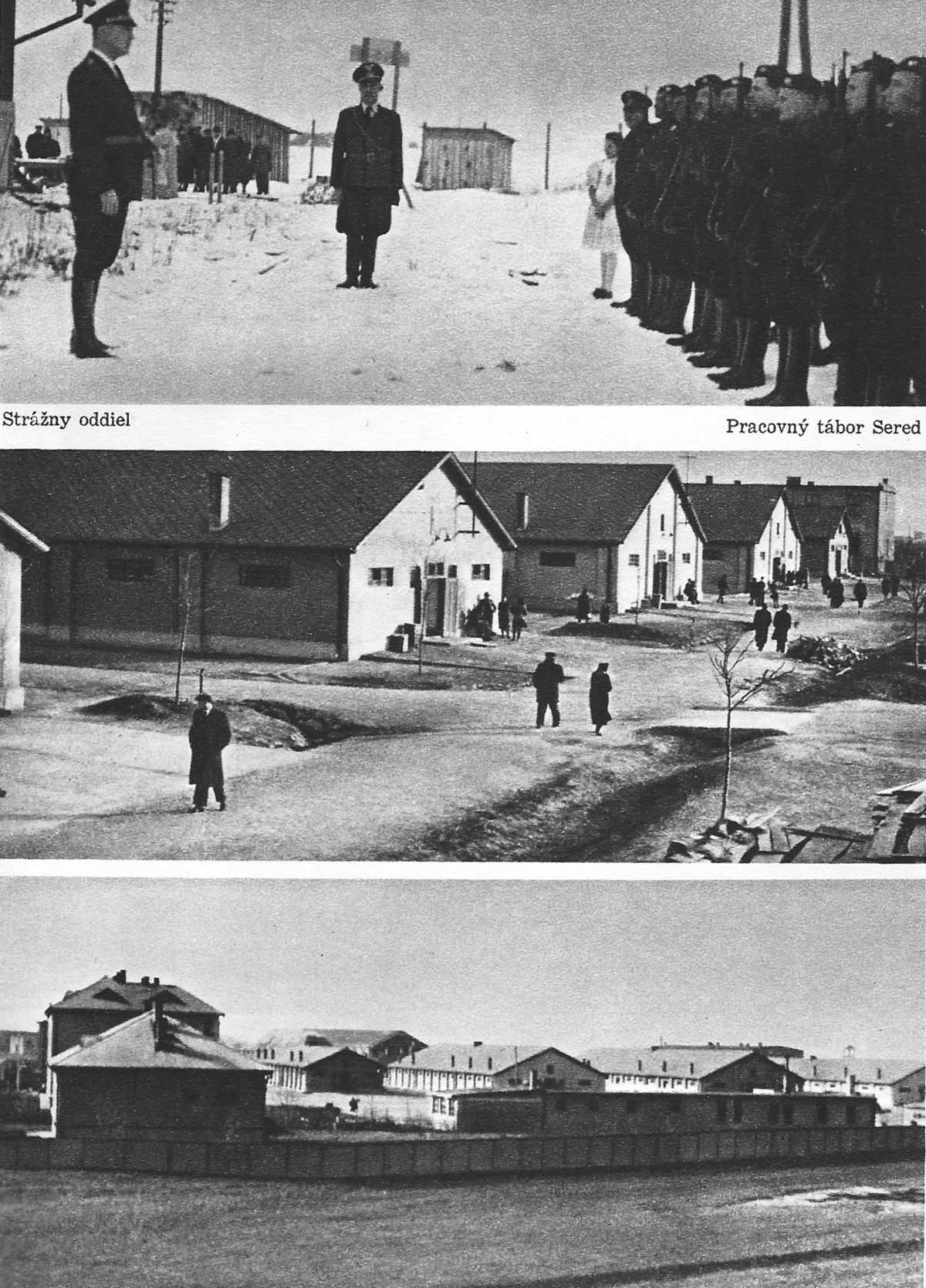 Sereď si pamätá holokaust, vyrastie tam múzeum - Domáce - Správy - Pravda