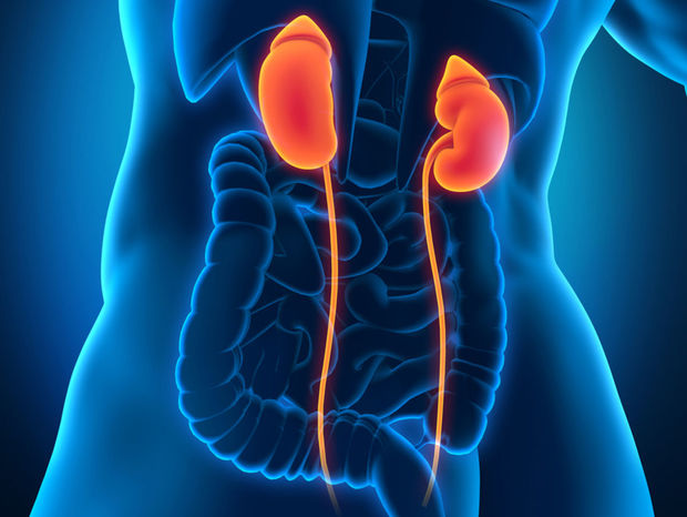 Keď cukrovka ničí obličky - Zdravie a prevencia - Zdravie - Pravda.sk