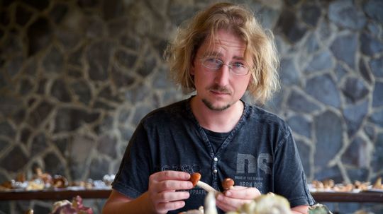 Borovička: Nemusíme sa báť rádioaktívnych diviakov - Domáce - Správy ...