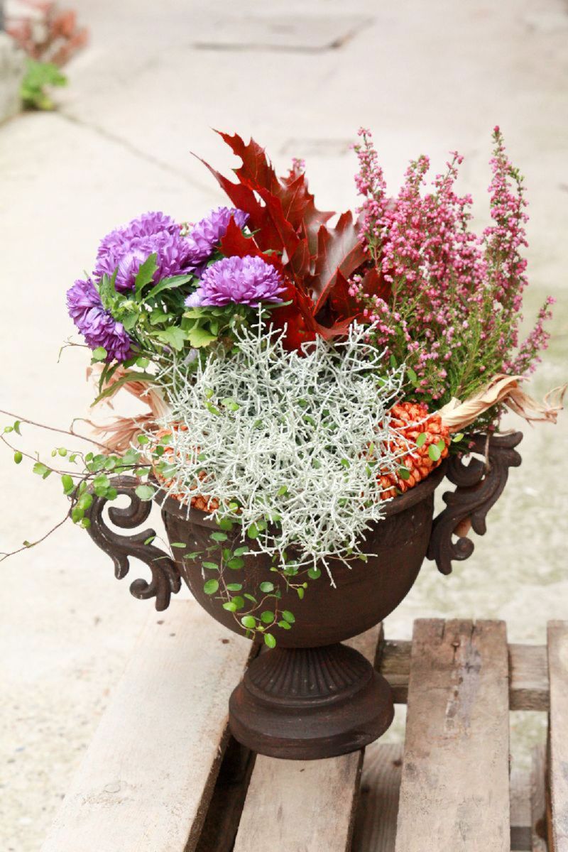 Prineste si babie leto domov, pozrite sa na jesenné aranžmány - Nápady ...