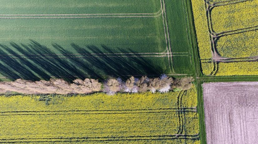 SHMÚ varuje pred mrazom vo vegetačnom období - Domáce - Správy - Pravda