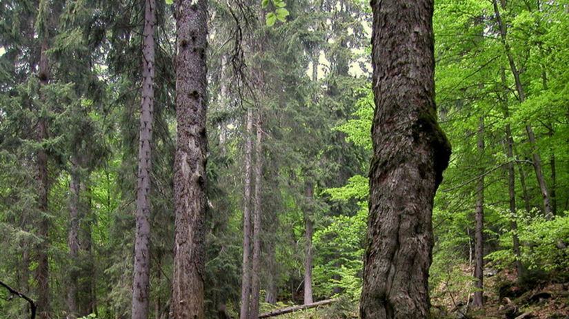 Vedci vytvoria virtuálnu mapu zaniknutých miest Šumavy - Zem - Veda a ...