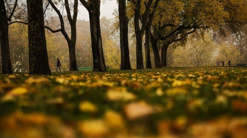 Mladá Bangladéšanka je asi prvou ženou s chorobou stromových ľudí ...