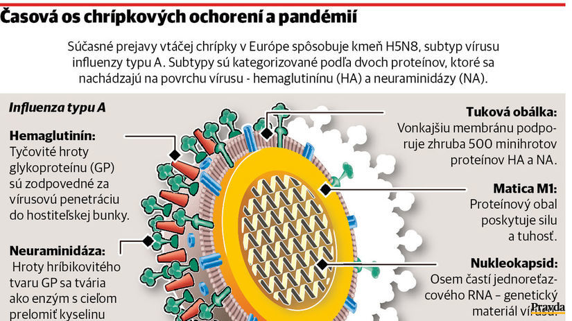 Slovensko je v polčase zápasu s vtáčou chrípkou - Domáce - Správy - Pravda