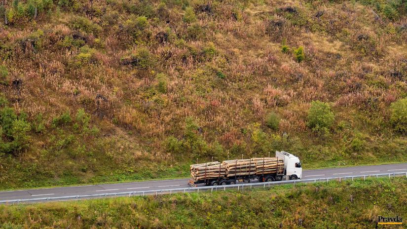 Mestské lesy v Bratislave rozdelia do zón, vzniknú rozsiahle oblasti ...