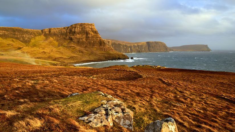 Vedci objavili riasy, ktoré žijú v moriach od poslednej ľadovej doby ...