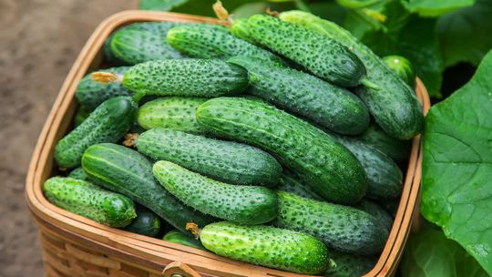 Recept z TikToku na uhorkový šalát zvalcoval internet a nielen to ...