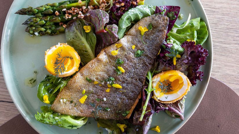 Ľahký letný obed: Keď prím hrajú ryby - Jedlo - Žena - Pravda