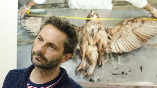 Cenu Imra Weinera-Kráľa získal fotograf Martin Kollár - Galéria ...