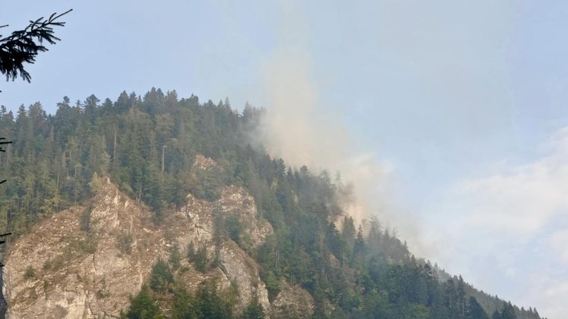NAPANT signale un incendie dans la réserve naturelle à la police de l ...