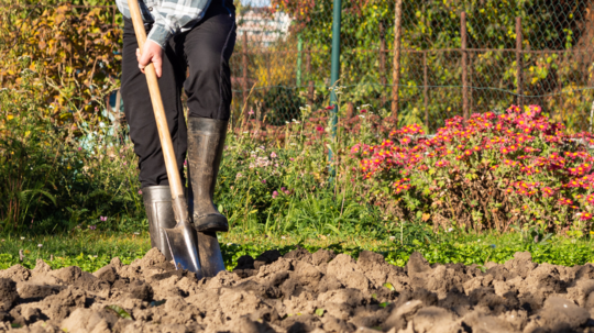 Jesenné rýľovanie: Úžitočná pomoc alebo pohroma pre záhradu? Kedy ...