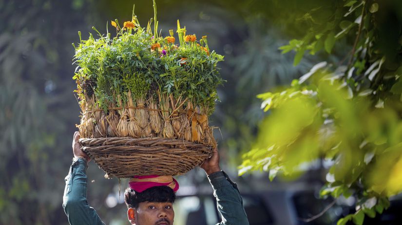 Predavač - Foto dňa - Pravda