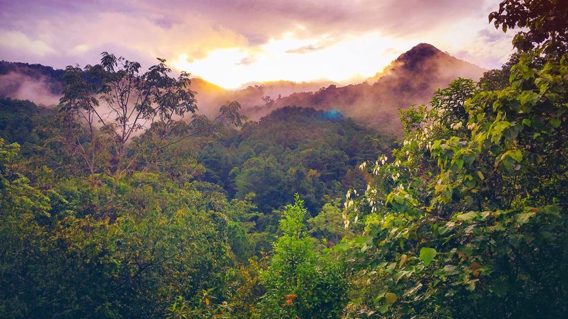 Švédsky miliardár si kúpil prales: Tomu, čo s ním spravil, nikto ...