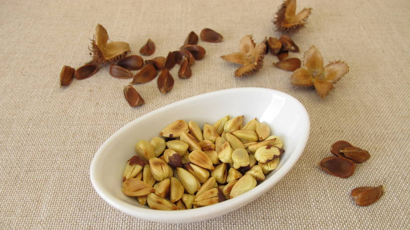 Zdravé, bezlepkové a plné železa: kedysi jedlo chudobných, dnes ...