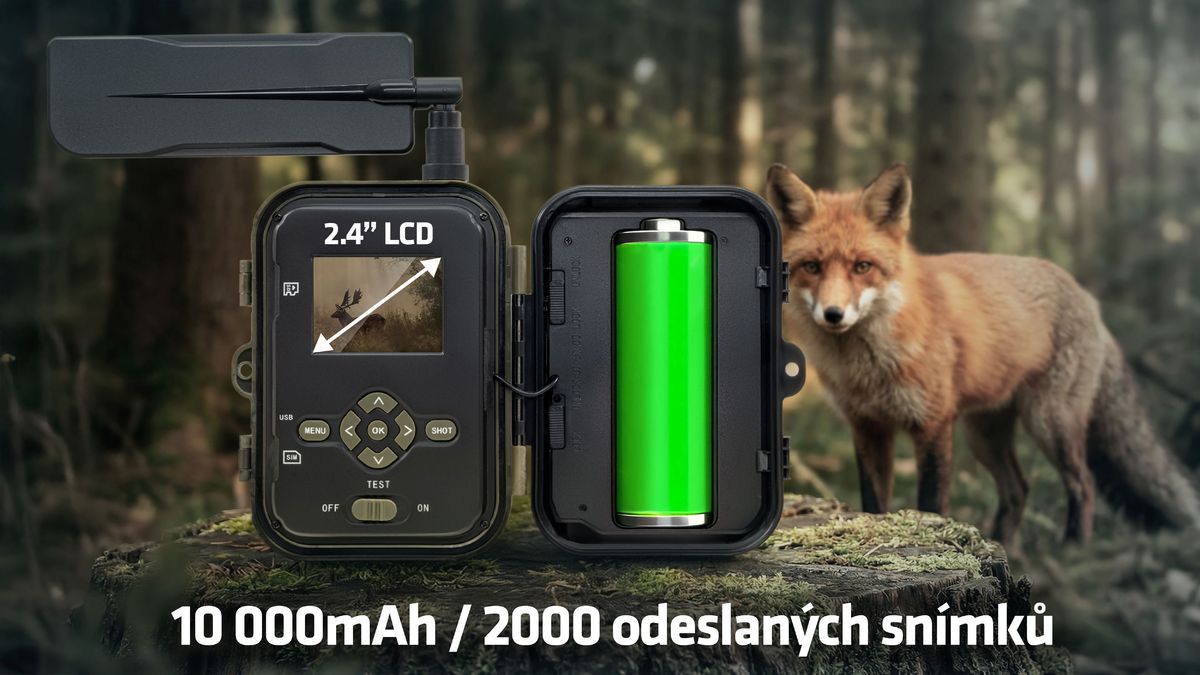 Evolveo uvádza novú fotopascu s 4G a výdržou na batériu rádovo v ...