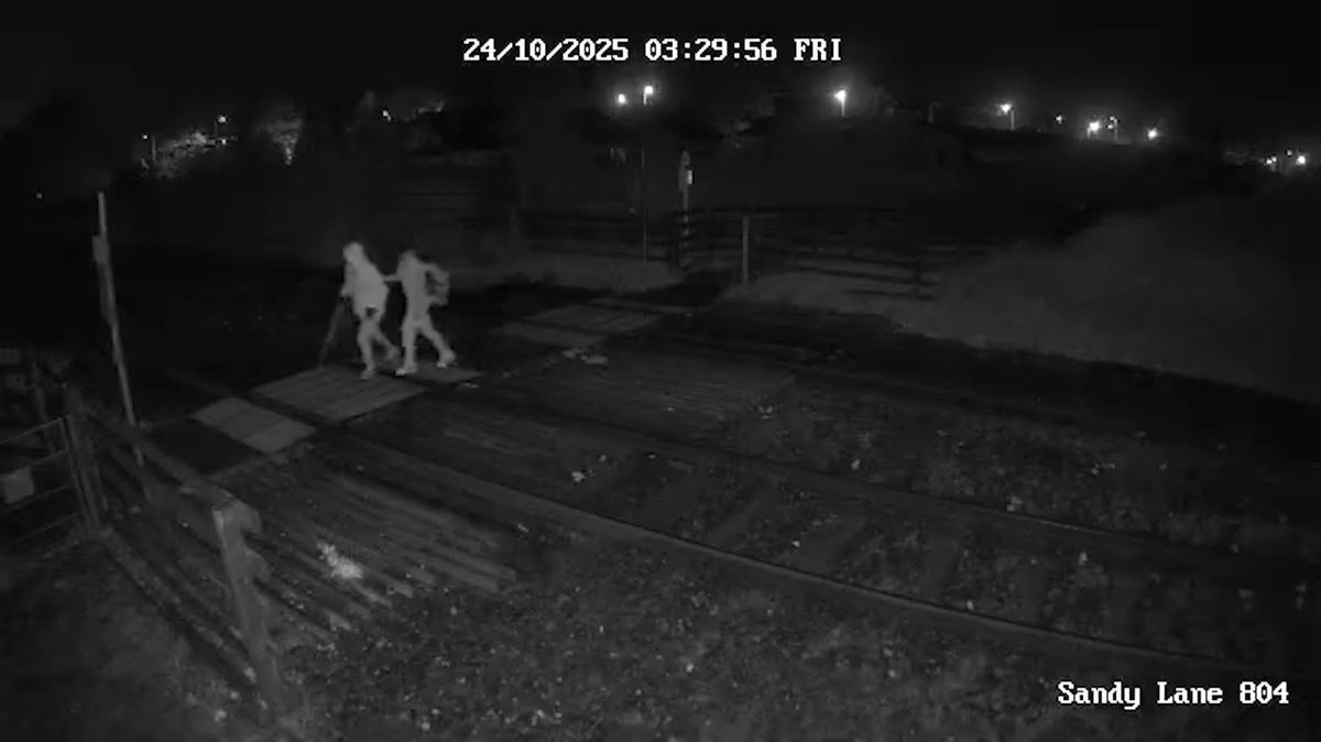 Prípad, ktorý šokoval Britániu. Mladík zavraždil matku, rady hľadal u ...